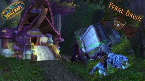 Hyper Fast Warsong Gulch Gameplay Quickplay Wow Classic Feral Druid