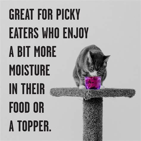 Bixbi Rawbble Chicken And Salmon Shreds In Broth Wet Food For Cats 5 Oz