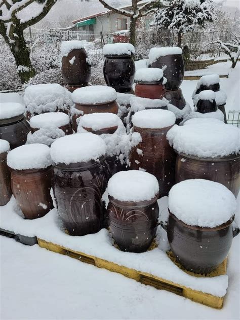 Snow Covered Jars In The Yard