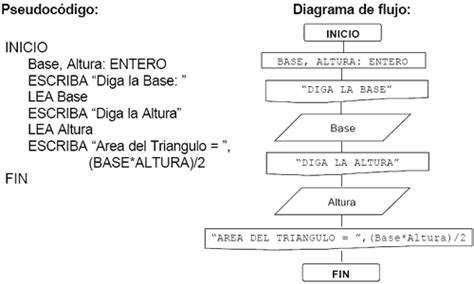 ALGORITMOS DIFERENCIA ENTRE PSEUDOCODIGO Y DIAGRAMA DE FLUJO