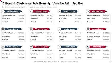 Different Customer Relationship Vendor Mini Profiles How To Improve Customer Service Toolkit Ppt