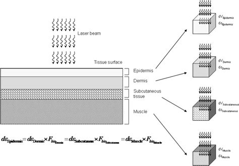 Schematic Representation For Relationship Among Different Layer And Download Scientific Diagram