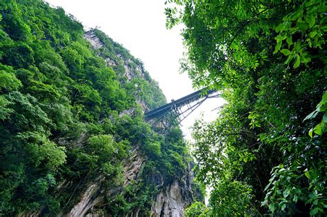 云南自驾红河州那山那田那才是美 红河旅游攻略 游记 去哪儿攻略