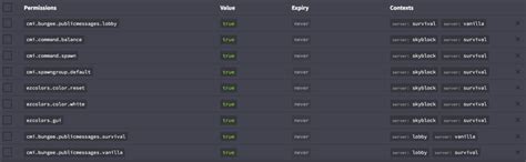 Chat Issue With Multiple Servers On Bungeecord Network Issue