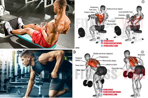 성수 건대 피티 웨이트트레이닝 체형불균형자세불균형