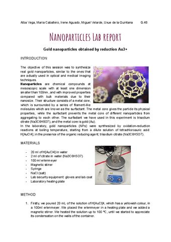 Report On Practical Session On Nanotechnology Pdf