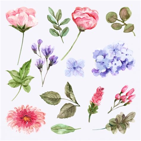 Conjunto De Flores Em Aquarela Vetor Premium