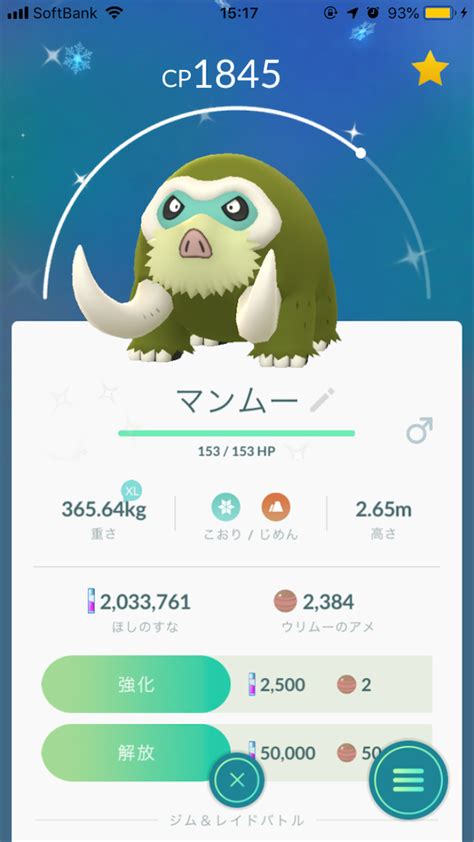 【ポケモンgo】コミュニティデイ報告【2019年2月】ウリムー。うり畑。 G Log 日々思うこと