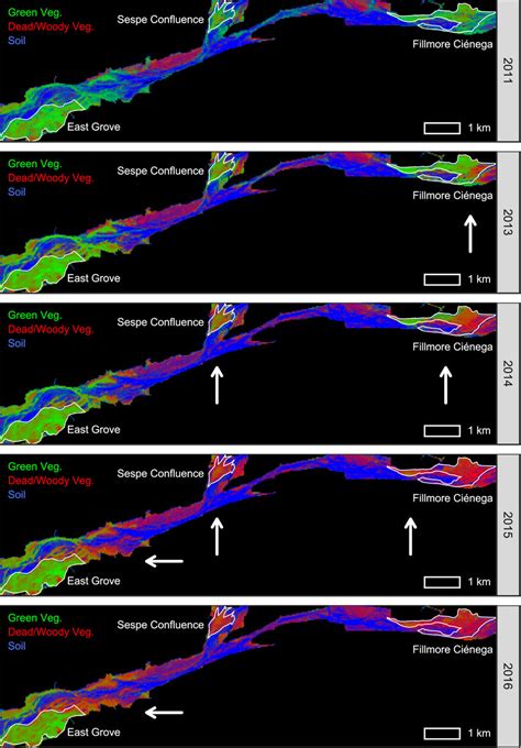 Remote Sensing Model Outputs Of Floodplain Land Cover In The Fillmore Download Scientific