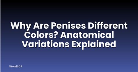 Why Are Penises Different Colors Anatomical Variations Explained Wordscr