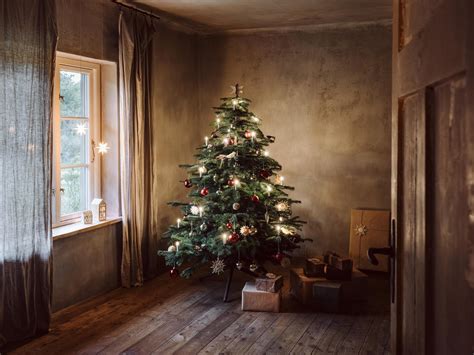¿cómo Decorar El árbol De Navidad Architectural Digest