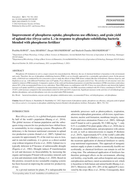 Pdf Improvement Of Phosphorus Uptake Phosphorus Use Efficiency And
