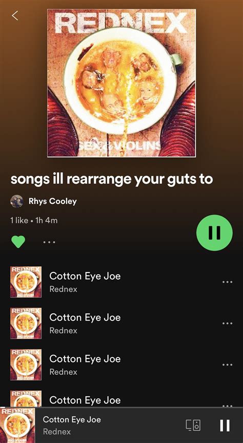 Songs Ill Rearrange Your Guts To R Weirdspotifyplaylists