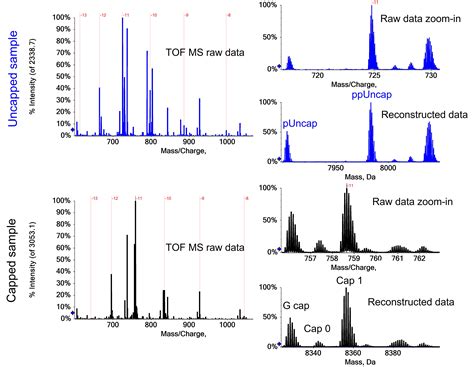 Characterization And Relative Quantification Of MRNA Capping