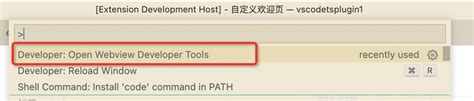 vscode 插件打开控制台的快捷键和断点调试的快捷键 command option i csdn博客