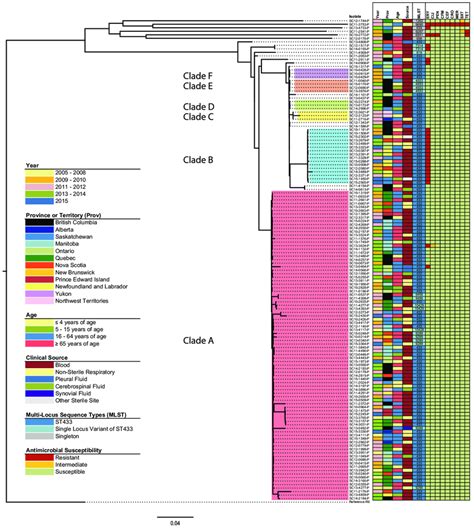 Whole Genome Core Snv Maximum Likelihood Phylogenetic Tree Of