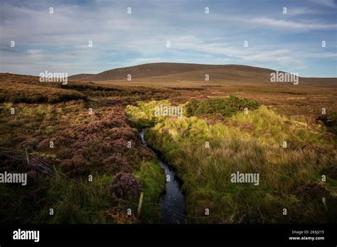 Expansive Irish Peat Landscape Adorned In Warm Autumn Colours Stock
