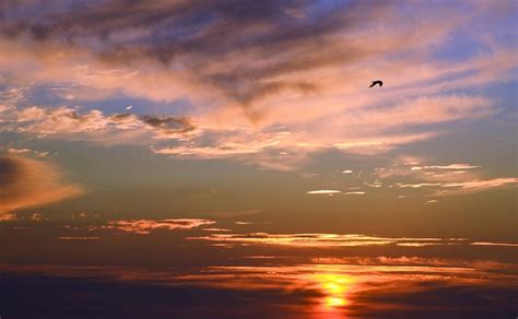 夏天 太阳 海滩 Pixabay上的免费照片 Pixabay