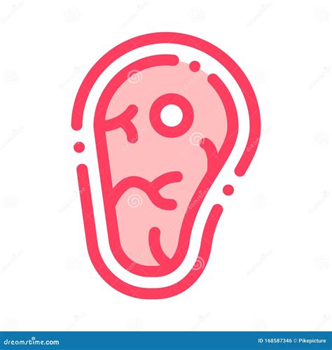 Healthy Food Piece Of Meat Vector Thin Line Icon Stock Vector Illustration Of Icon American