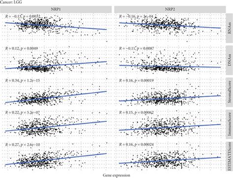 Ah Correlation Analysis Of NRP And NRP Expression With Tumour Download Scientific Diagram