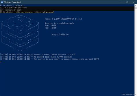 Redis Serverexe启动不成功输入redis Nf之后没反应 Csdn博客