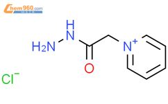 P Girard S Reagent P