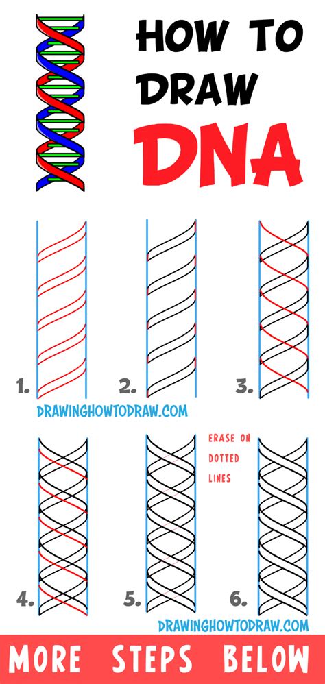 How To Draw Dna Double Helix Structure Easy Step By Step Drawing Tutorial How To Draw Step