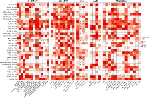 correlation heatmaps using different algorithms showing the download scientific diagram