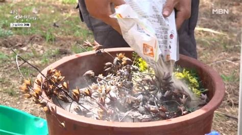 자연인 표 해충 기피제 3~6개월의 시간을 들여 만드는 독초 발효액 Mbn 240501 방송 네이버 Tv