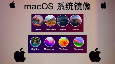 Mac2m 与您一起探索 Macos 的精彩世界