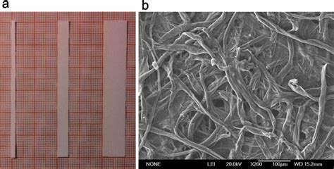 The Filter Paper A Paper Strip B SEM Image Of The Filter Paper Download Scientific Diagram