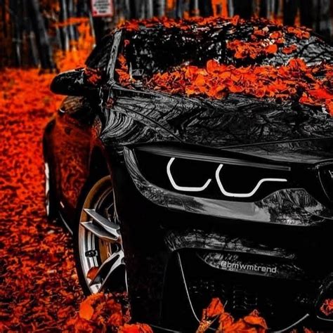 Macds Videos Youtube