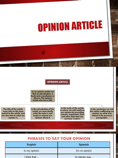 Opinion Article Pdf