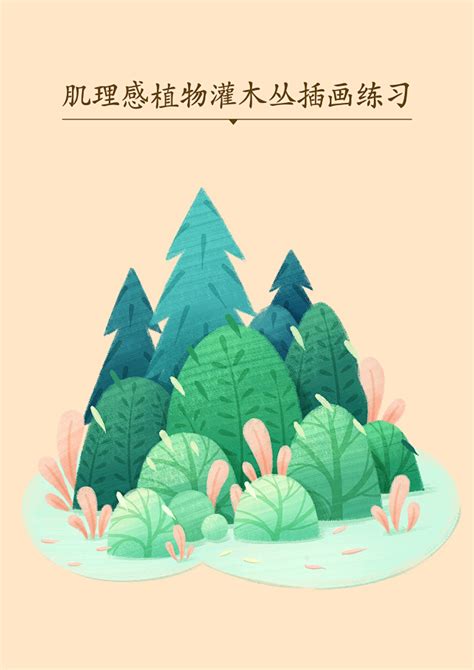 肌理感植物灌木插画练习