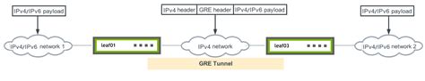 GRE Tunneling Cumulus Linux 5 1