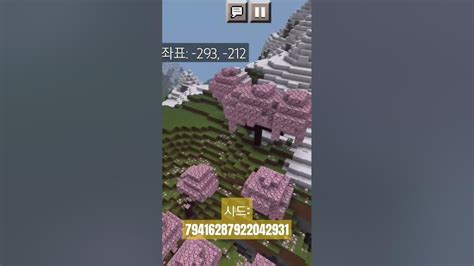 마인크래프트 좋은 시드 꽃밭 마을과 체리 숲 Minecraft Youtube