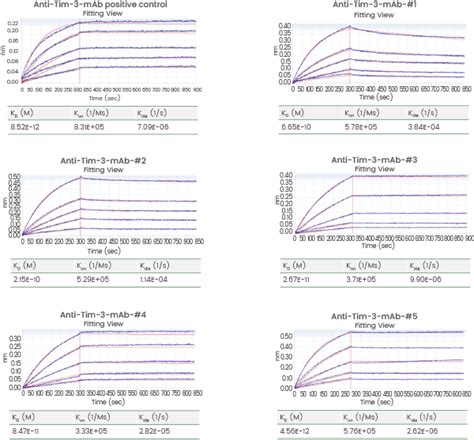 Discovering Antigen Specific Monoclonal Antibodies Using Single B Cell