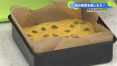 Kachi Kachi Plus
