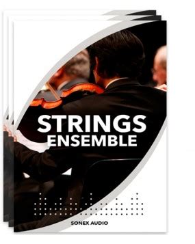 Sonex Audio Strings Ensemble Kontakt Vst Torrent