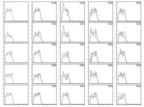 The Target Patterns And The Estimates Of The Target Neuron With