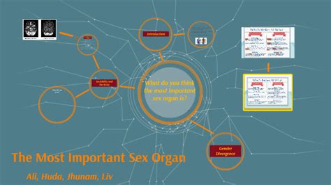 The Most Important Sex Organ By Jen Sid On Prezi
