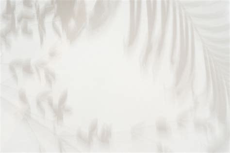 밝은 배경에 햇빛이 비치는 야자수의 그림자 아름 다운 여름 배경 휴가 여행 휴가입니다 열대 기후에 대한 스톡 사진 및 기타