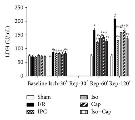 Isoflurane Iso And Captopril Cap Reduced Postischemic Myocardial Download Scientific