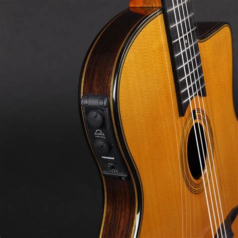 Gitane Dg 455 Thinline Gypsy Jazz Guitar W Case Pre Owned Maks Guitars