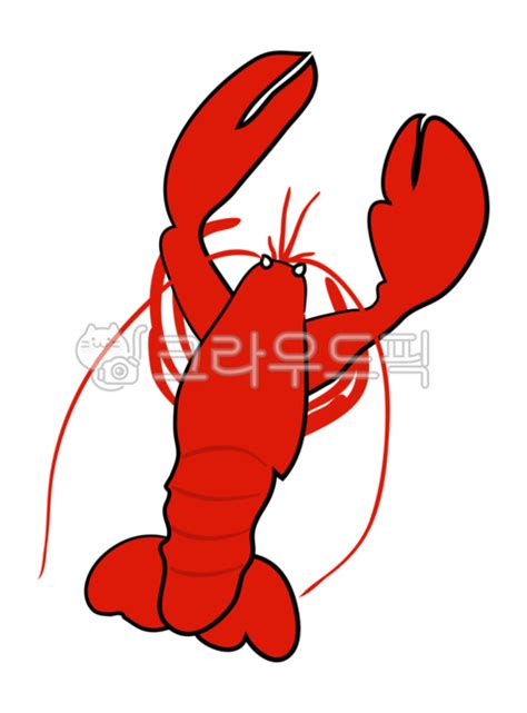 킹크랩 크랩 랍스터 Sealife 해양생물 사진이미지일러스트캘리그라피 Macarongrong작가