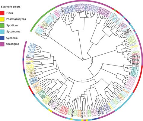 Results Of Hierarchical Clustering Showed That Most Or All Individuals Download Scientific