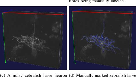 Figure 1 From Memory And Time Efficient 3d Neuron Morphology Tracing In