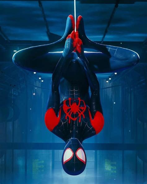 A Spider Man Hanging Upside Down From The Ceiling