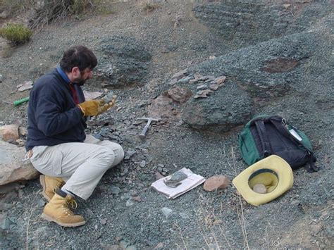 National Museum Of Natural History Scientists Discover That Ancient