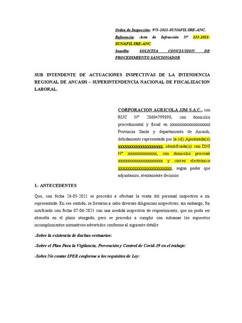 Modelo De Escrito Sunafil Pdf Gobierno Justicia